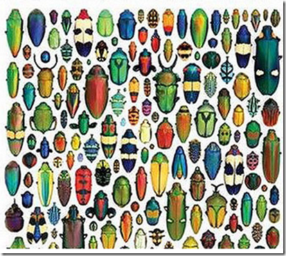 Toothing Blog: Christopher Marley Insect Art: Critters Dignified in ...